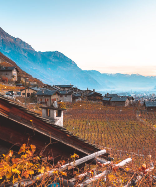 Balade Gourmande de Plan-Cerisier - Martigny Tourisme - Valais Suisse