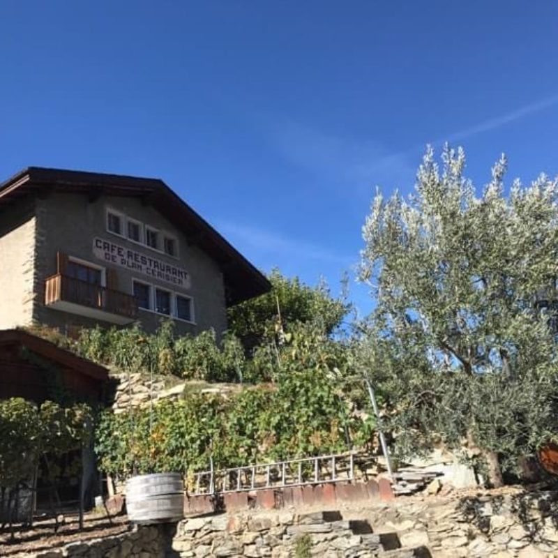 Restaurant de Plan-Cerisier - Martigny Tourisme - Valais Suisse