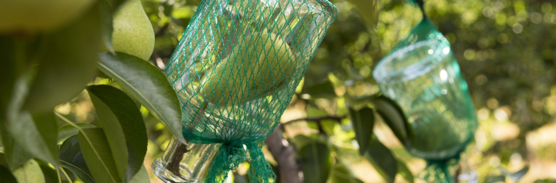 Distillerie Morand - visite