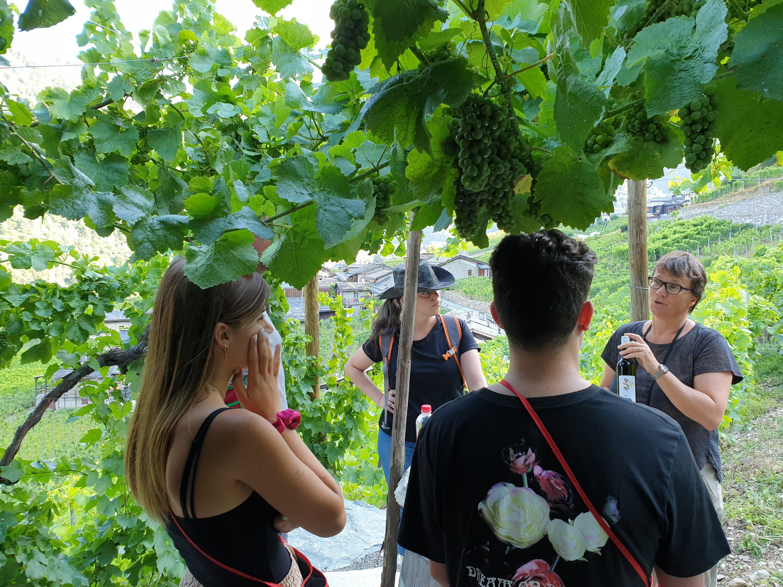 Visite de Plan-Cerisier et son vignoble - Martigny Tourisme - Valais Suisse