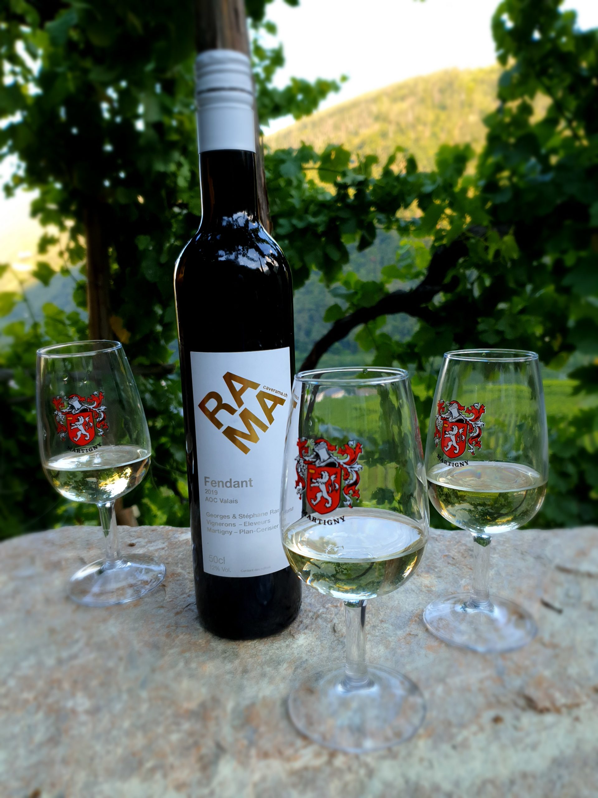 Visite de Plan-Cerisier et son vignoble - Martigny Tourismus - Wallis ...