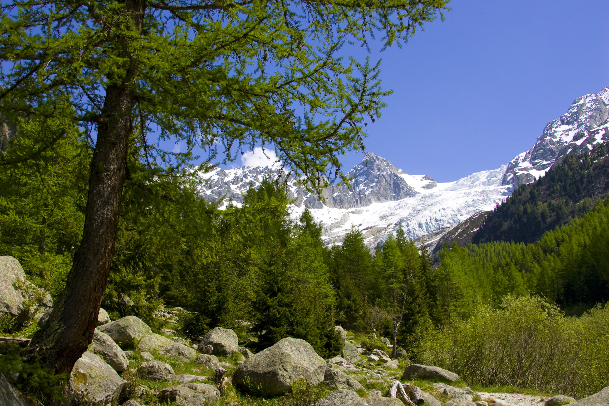 Trient Glacier - Martigny Tourisme - Valais Switzerland